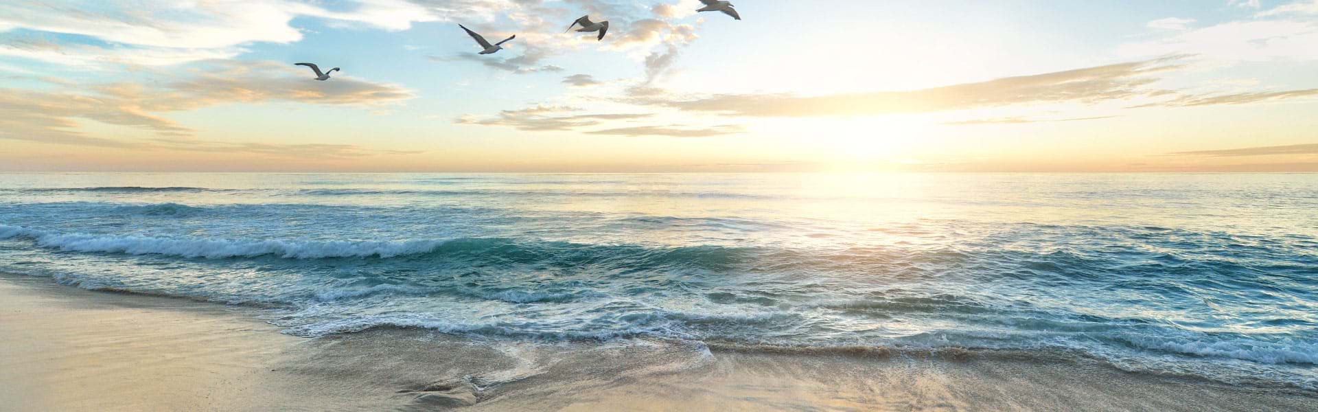 The Travel Directors | Apply Online